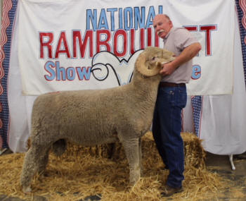 American Rambouillet Sheep Breeders Association