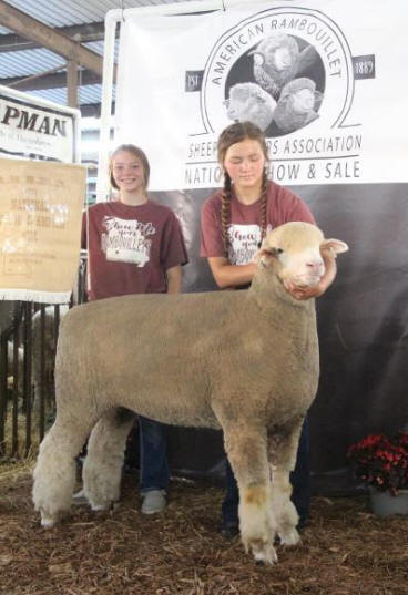 American Rambouillet Sheep Breeders Association