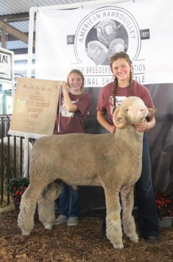 American Rambouillet Sheep Breeders Association