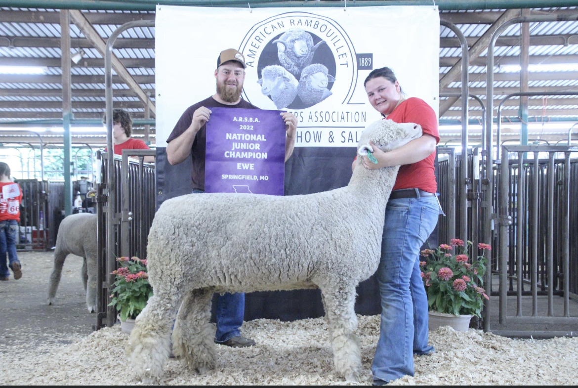 American Rambouillet Sheep Breeders Association