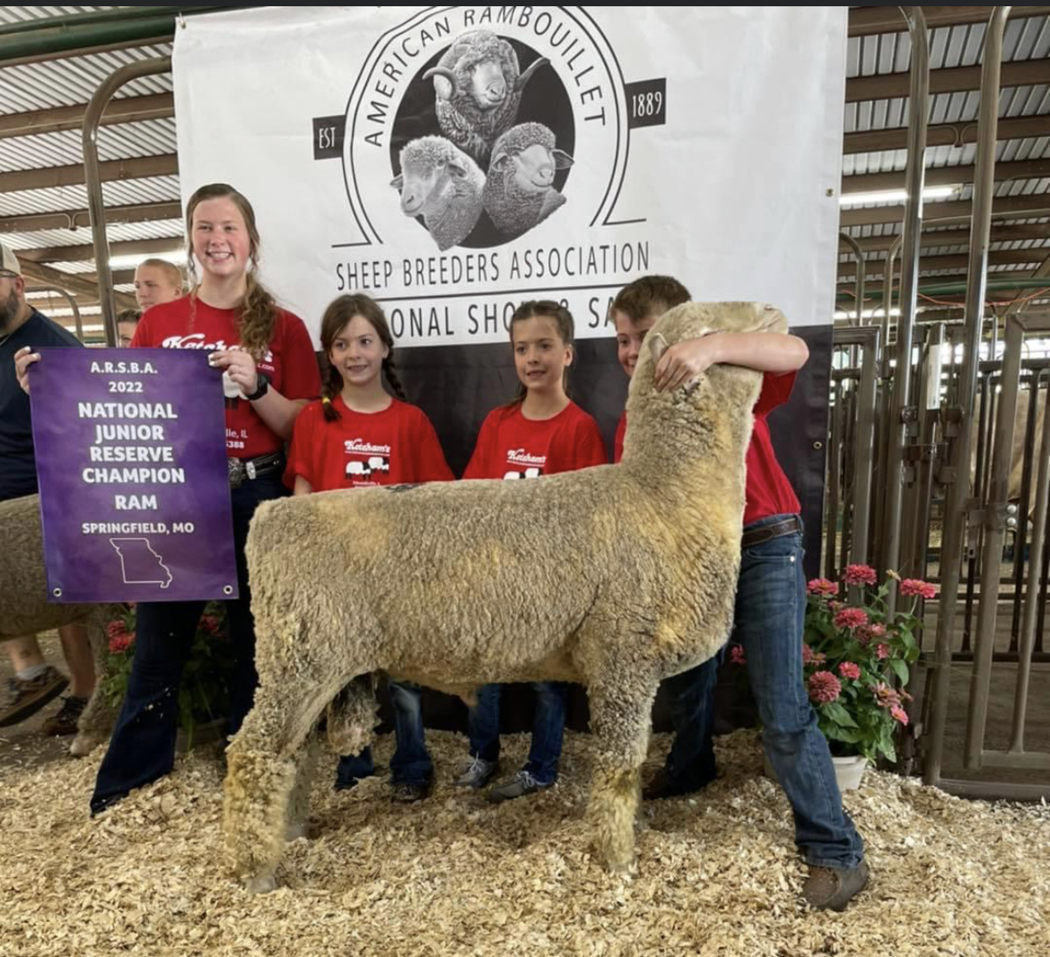 American Rambouillet Sheep Breeders Association